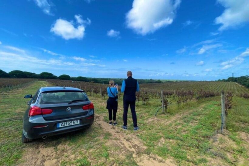 Lisbon: Private Full Day Evora & Alentejo Wine Tour - FAQ