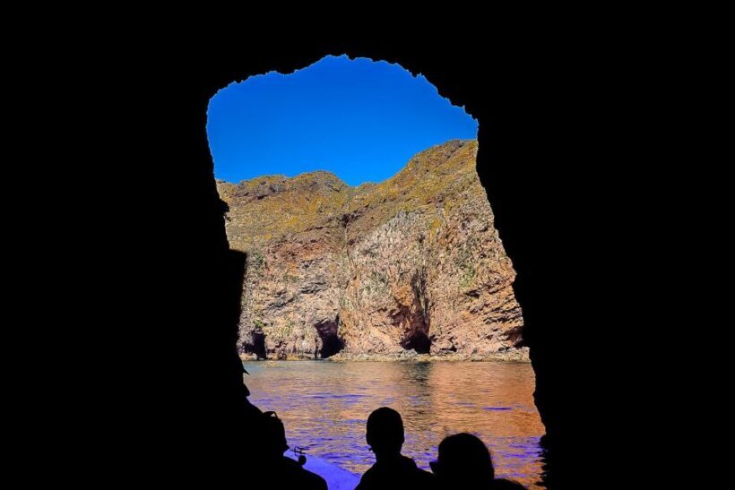 Lisbon: Private Full Day Tour to Berlengas Island - Optional Visit to Óbidos