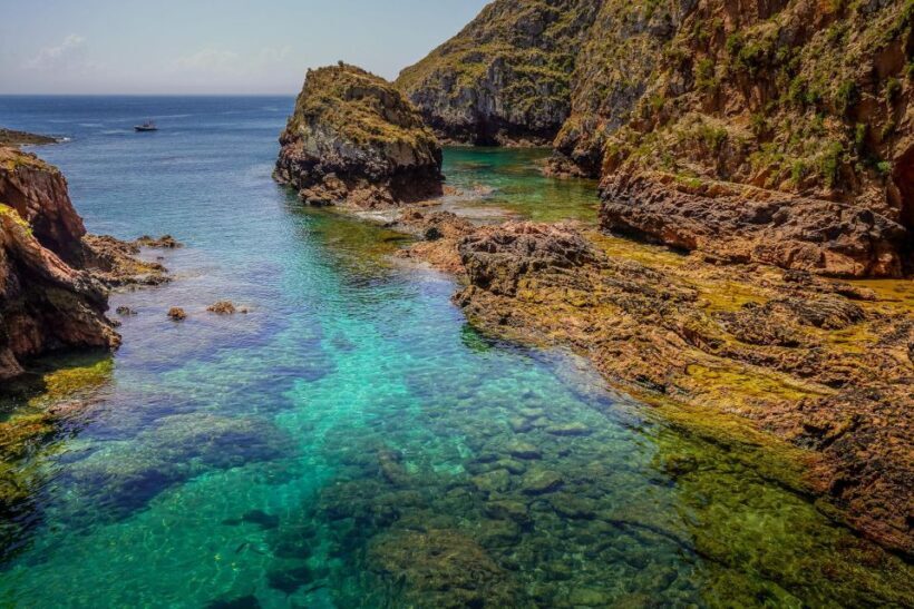 Lisbon: Private Full Day Tour to Berlengas Island - Practical Details and Value
