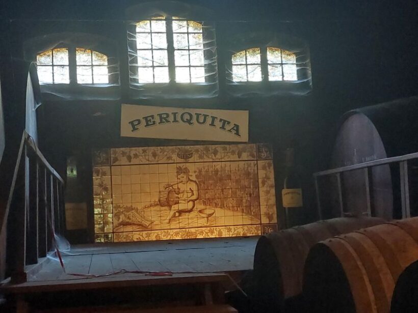 Lisbon: Private Full-Day Wine Tasting Tour in a premium car - Who This Tour Is Best For