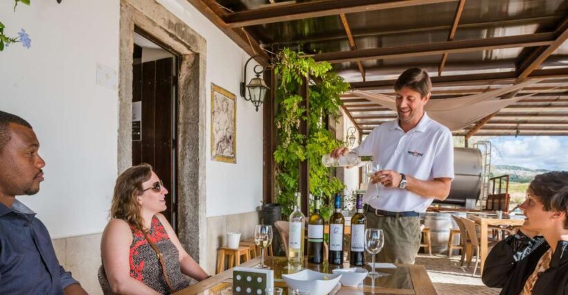 Lisbon Private Setúbal Region Wine Tasting Tour - Key Points