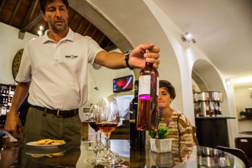 Lisbon Private Setúbal Region Wine Tasting Tour - Visiting the Wineries: From Family Traditions to Industrial Scale