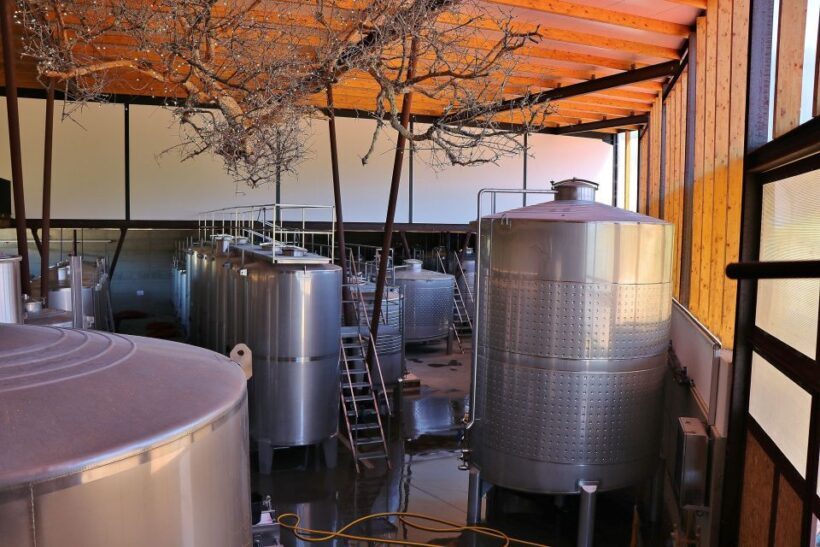Lisbon Private Setúbal Region Wine Tasting Tour - The Authenticity and Educational Value
