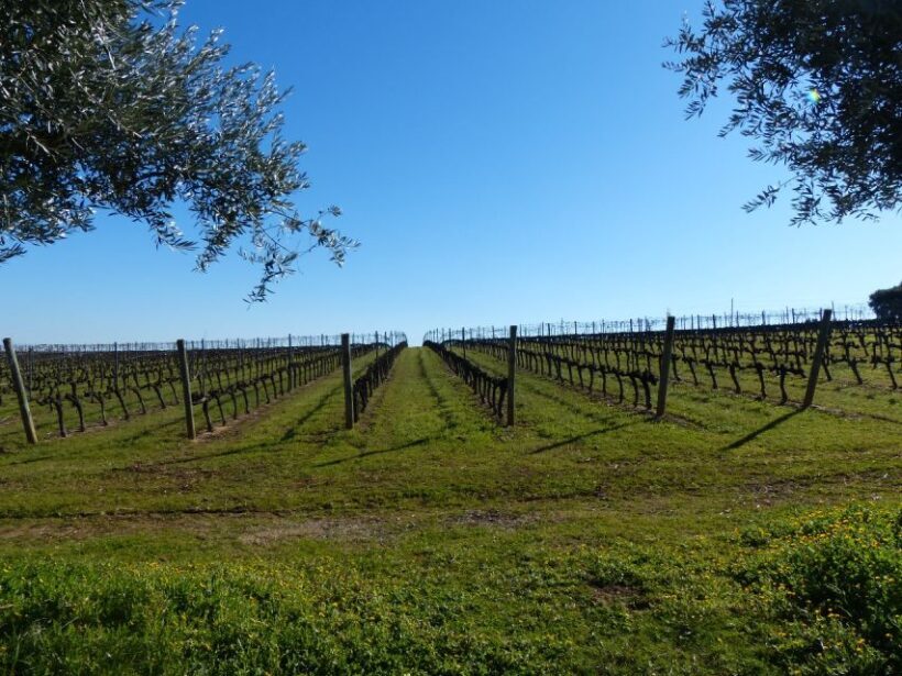 Lisbon: Private Tour Evora with Wine Tasting at the Cartuxa - Final Thoughts