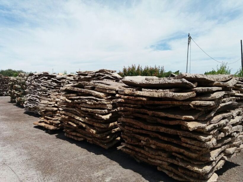 Lisbon: Private Tour to Évora and Cork Factory - Who This Tour is Best For