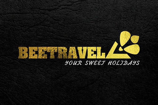 Lisbon Private Transfers ( Vehicles up to 4 pax ) - Why This Service Stands Out