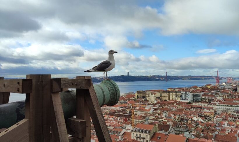 Lisbon: Saint George's Castle Entry Ticket and Guided Visit - Key Points