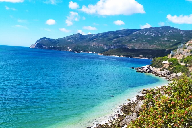 Lisbon: Serra da Arrabida, Setubal, Sesimbra private tour - The Sum Up