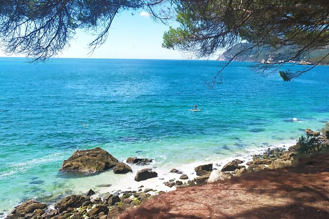 Lisbon: Serra da Arrabida, Setubal, Sesimbra private tour - FAQ