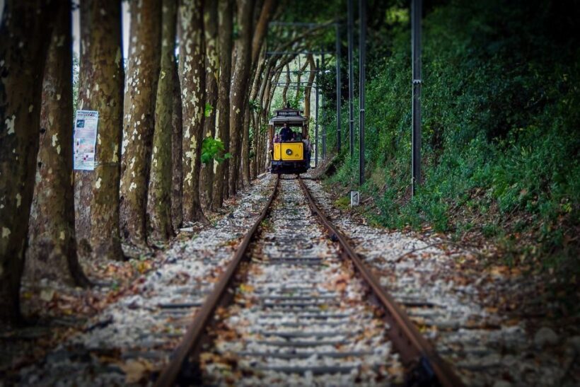 Lisbon, Sintra and Cascais: Full-Day Private Tour - Price and Value