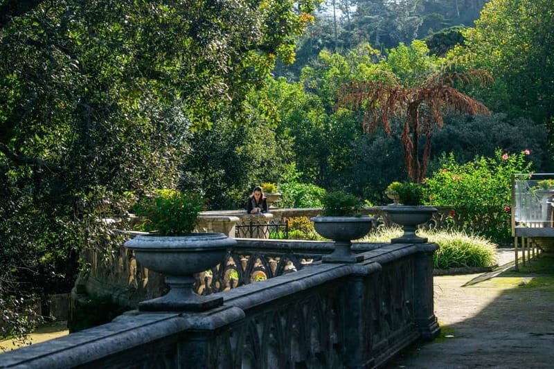 Lisbon/Sintra: Monserrate Palace Guided Tour with Pickup - Gardens and Natural Beauty