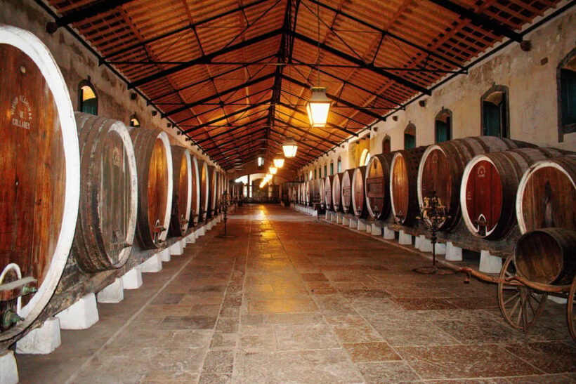Lisbon: Sintra Off the Beaten Path Tour with Wine Tasting - What Travelers Say
