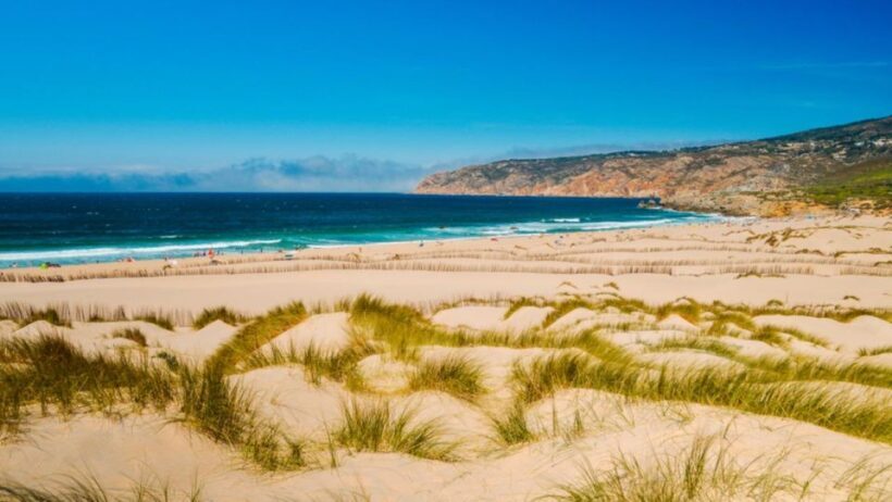 Lisbon: Sintra, Pena, Cabo da Roca Coast & Cascais Day Tour - The Sum Up