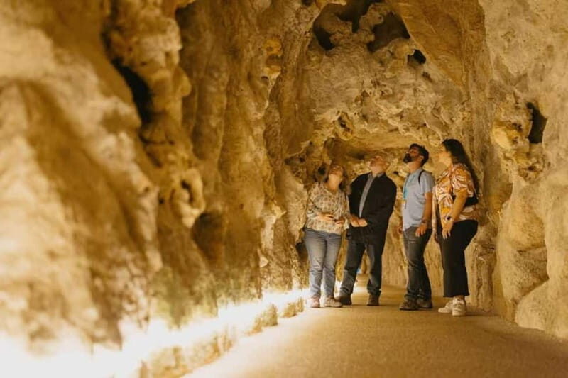 Lisbon: Sintra Tour with Optional Regaleira & Pena Gardens - Authentic Reviews & What They Tell Us