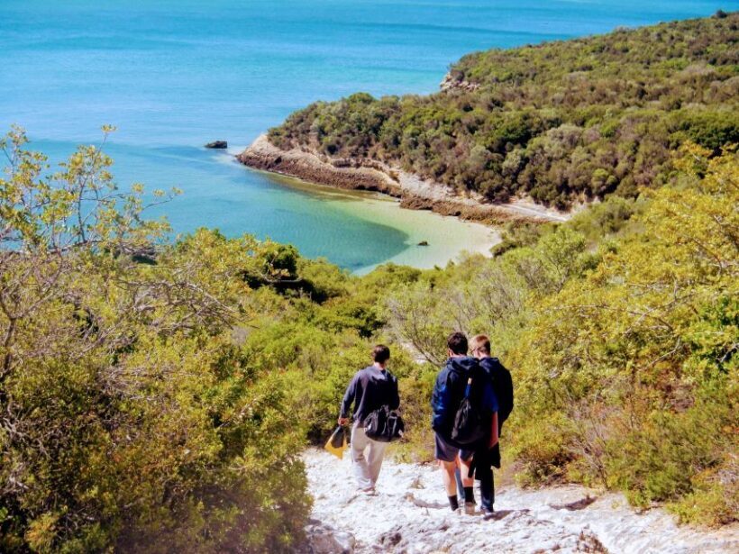 Lisbon: Snorkeling and Wine Tasting in Arrábida - Key Points