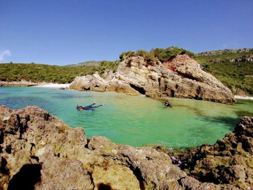 Lisbon: Snorkeling and Wine Tasting in Arrábida - A Detailed Look at the Tour Experience