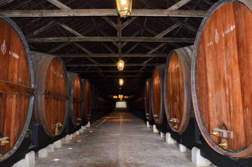 Lisbon: Snorkeling and Wine Tasting in Arrábida - Practical Tips for Travelers