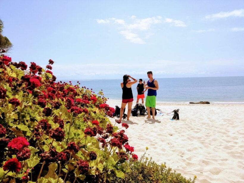Lisbon: Snorkeling and Wine Tasting in Arrábida - Final Thoughts: Who Should Consider This Tour?