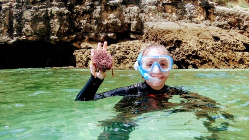Lisbon: Snorkeling and Wine Tasting in Arrábida - In The Sum Up