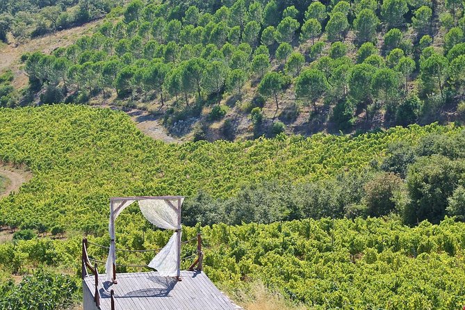 Lisbon Southern Region (Fernão Pó) Wine Tasting Private Tour - Additional Information and Requirements