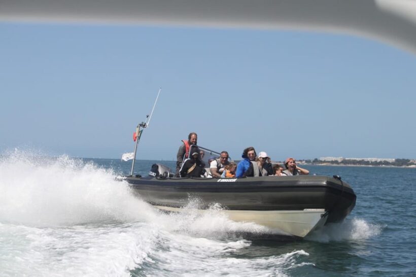 Lisbon: Speedboat Trip to Bugio Lighthouse - A Practical Look at the Speedboat Trip