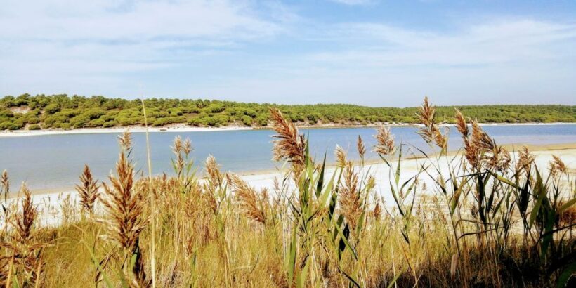 Lisbon: Stand Up Paddle Adventure at Albufeira Lagoon - FAQs