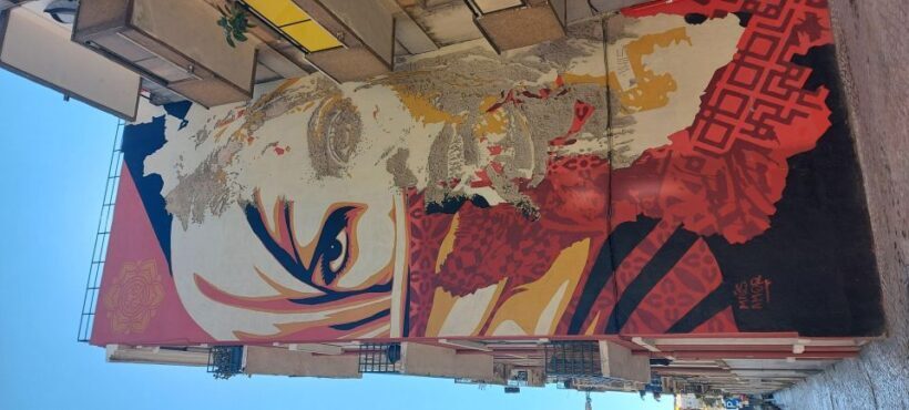 Lisbon Street Art Lovers Walk - Exploring Lisbon Through Its Walls: The Street Art Lovers Walk