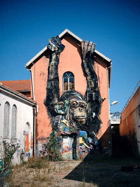 Lisbon: Street Art Lovers with Tuktuk - Who Is This Tour Best For?