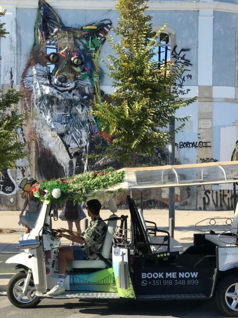 Lisbon: Street Art Private Guided Tour by Tuk-Tuk - Exploring Lisbon’s Street Art Scene: What You Can Expect