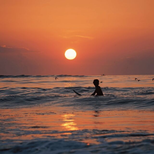 Lisbon: Sunset Surf Experience - What the Price Includes and What to Consider