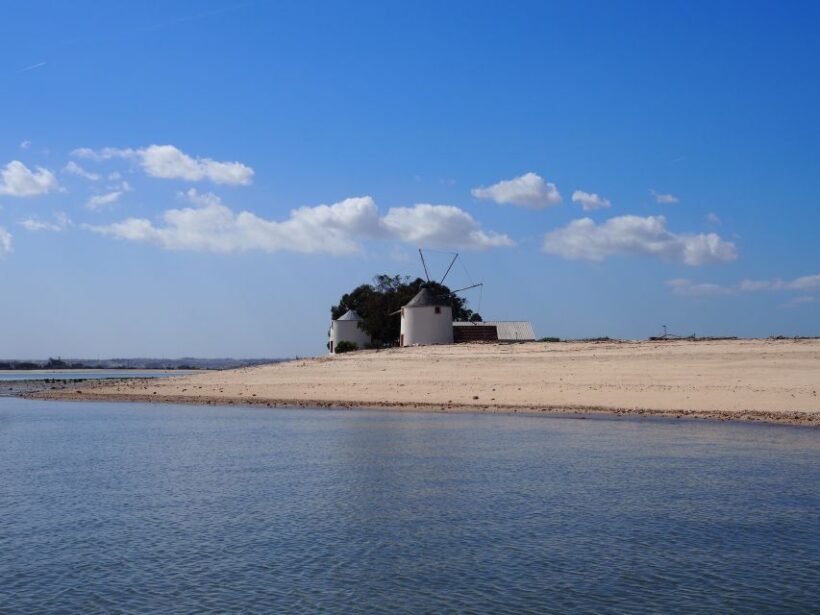 Lisbon: Tagus Estuary Nature Reserve Birdwatching Boat Tour - Why This Tour Is Worth It