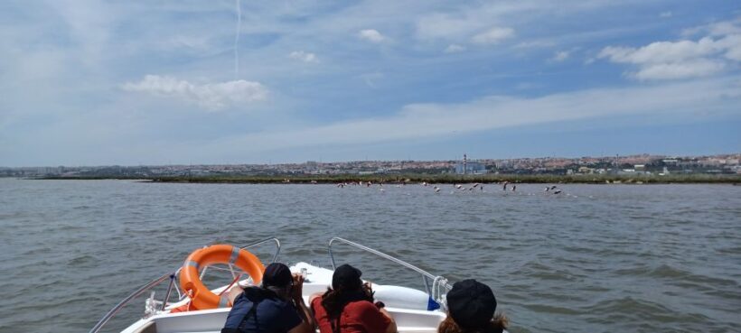 Lisbon: Tagus Estuary Nature Reserve Birdwatching Boat Tour - The Itinerary Breakdown