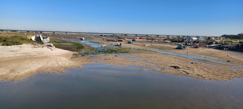 Lisbon: Tagus Estuary Nature Reserve Birdwatching Boat Tour - The Experience in Review