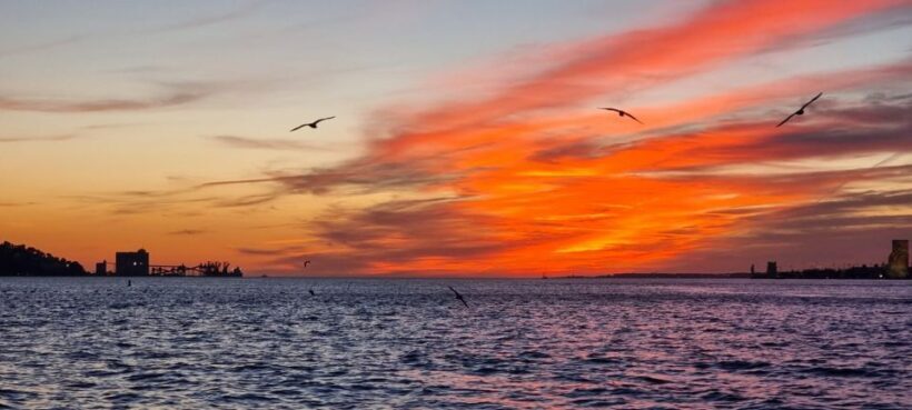 Lisbon: Tagus River Boat Sunset and Night Champagne Tour - An In-Depth Look at the Lisbon Tagus River Sunset and Night Cruise