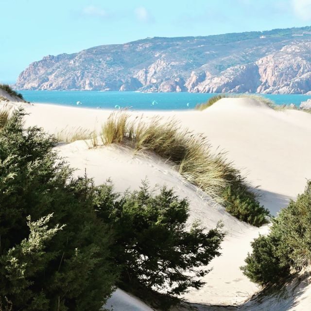 Lisbon: Tailored Tour - Who Should Consider This Tour