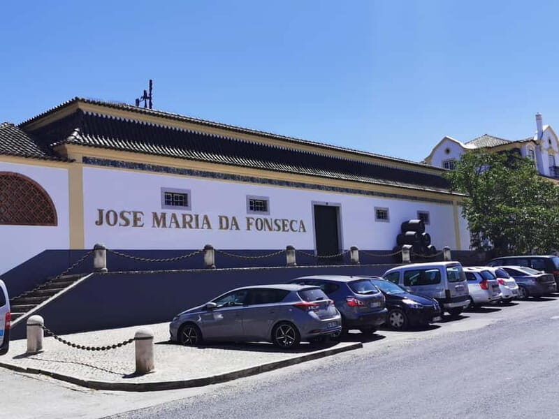 Lisbon to Wine Tasting Setubal, Two Cellars, Half Day Tour - Key Points