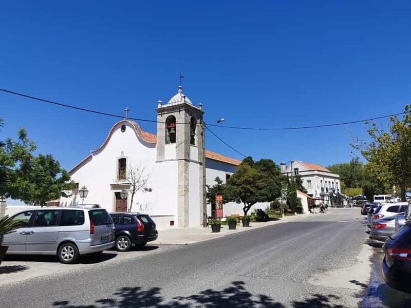 Lisbon to Wine Tasting Setubal, Two Cellars, Half Day Tour - An Authentic Taste of Portugal’s Winemaking Heritage