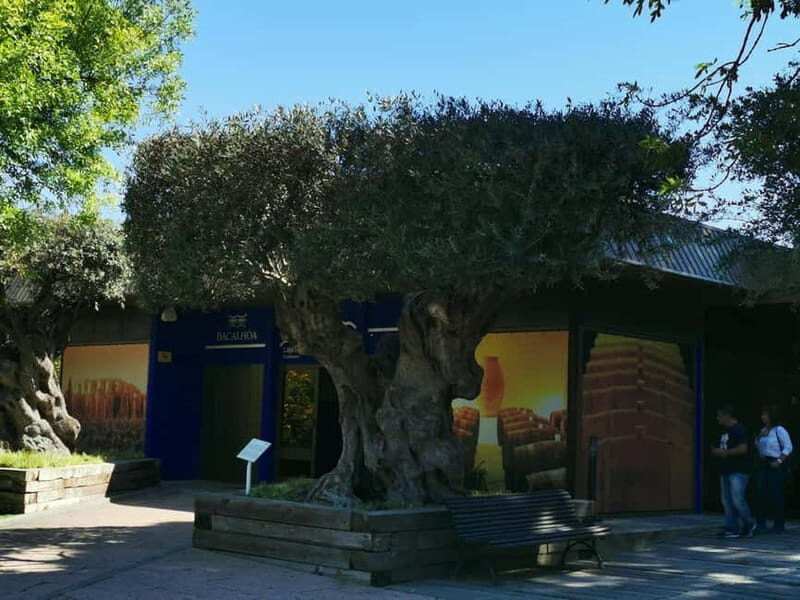Lisbon to Wine Tasting Setubal, Two Cellars, Half Day Tour - The Value of the Experience
