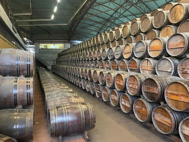 Lisbon: Tour Cristo Rei, Setúbal, Arrábida, Azeitão, Palmela - What to Expect