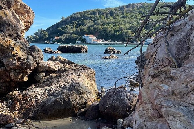 Lisbon Tour to Setúbal, Mountains and Sea, with Wine Tasting - Who Will Love This Tour?