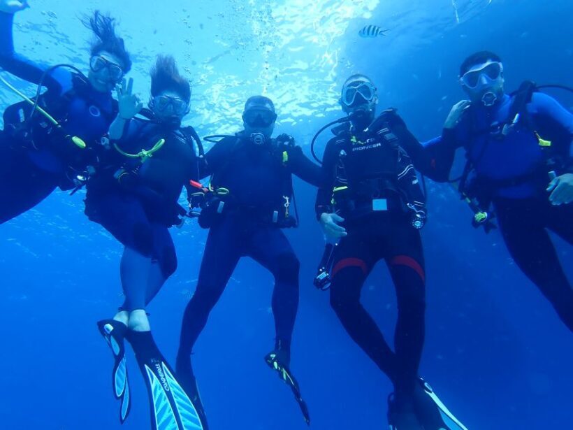 Lisbon: Try Dive in Arrábida Marine Reserve Setubal Sesimbra - Who Will Love This?