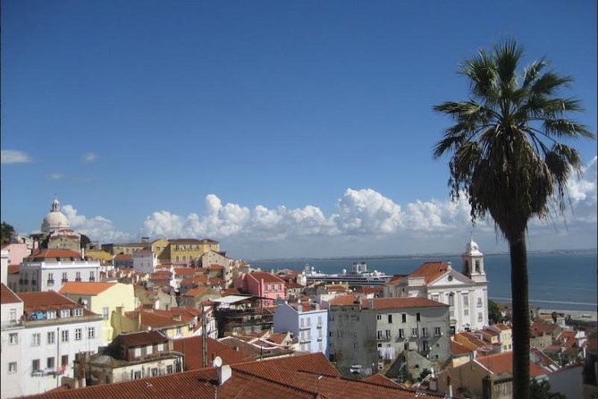 Lisbon walking tailored private tour (half day) - The Bottom Line