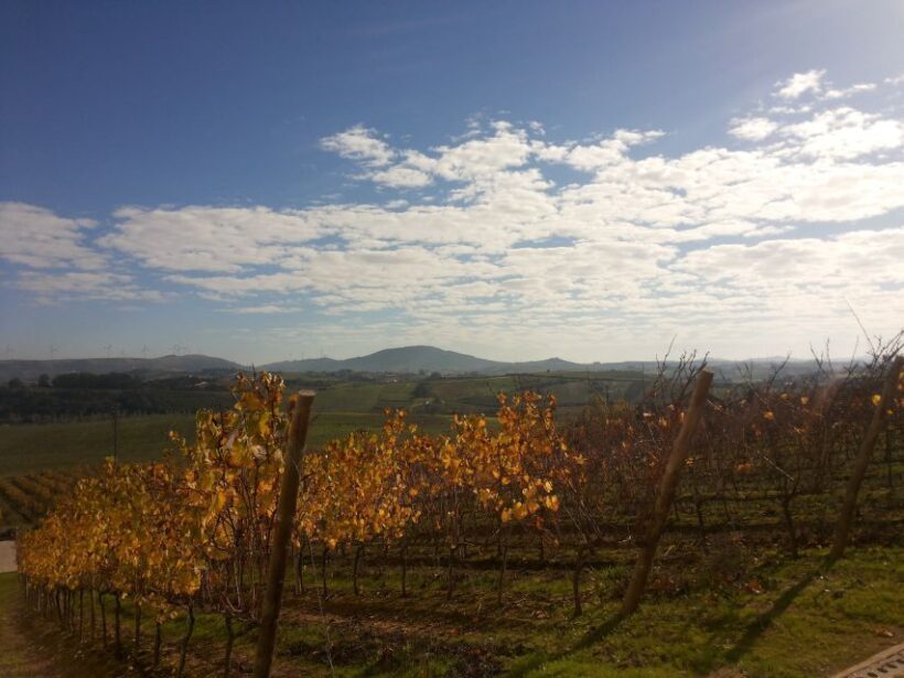 Lisbon Wine Tasting Private Tour - FAQs