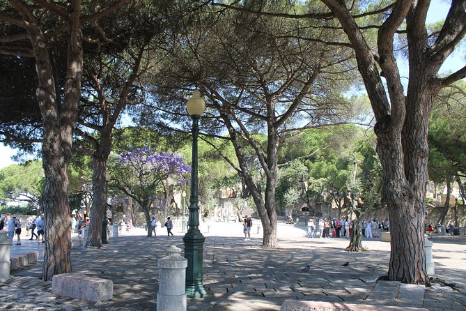 Lisbon's Private Walking Sightseeing Tour - What to Expect During the Tour