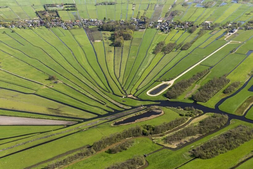 Lisse: Drive-it-Yourself Dutch Countryside GPS Audio Tour - The Sum Up