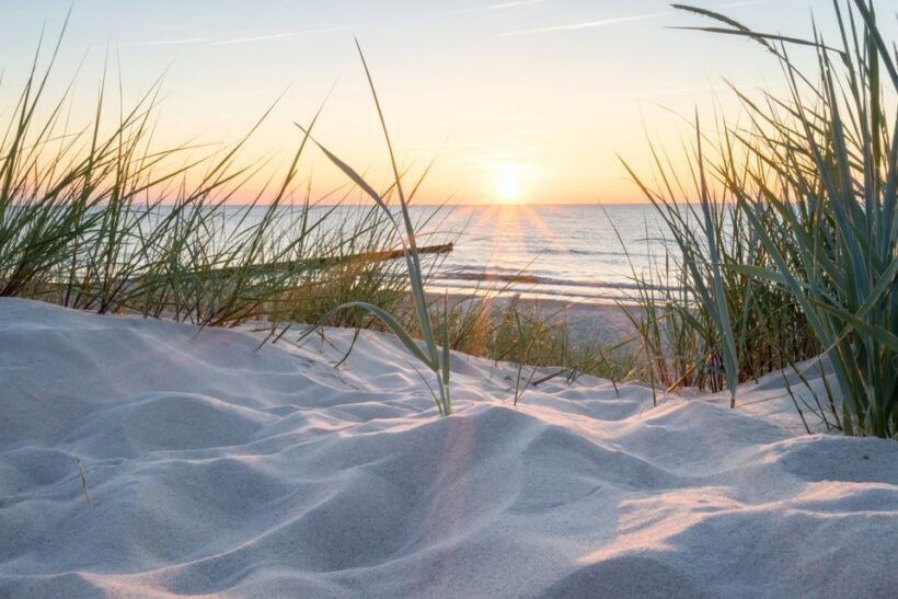 Lisse: Drive-it-Yourself Electric Dune & Beach Audio Tour - Final Summary