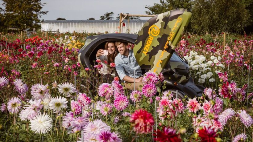 Lisse: Drive-it-Yourself Summer Flower GPS Audio Tour - An Honest Look at the Experience