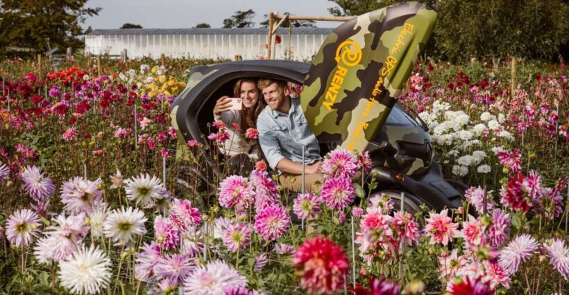 Lisse: Drive-it-Yourself Summer Flower GPS Audio Tour - Final Thoughts: Is It Worth It?