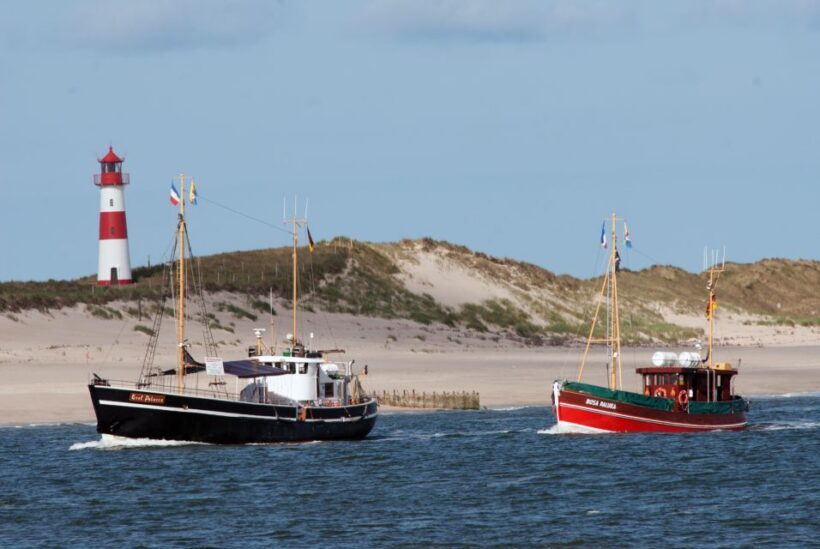 List/Sylt: Guided Seal-Watching Cruise on a Rustic Boat - What to Expect on the Day