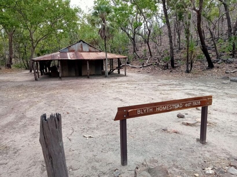 Litchfield 2 Day Tour. NT Top Adventures - Private Tour - The Essence of the Tour: An In-Depth Breakdown